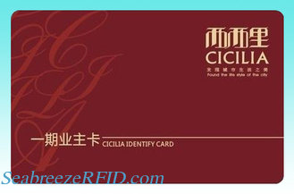 China Mini  IC S20 chip Card supplier