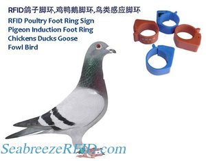 China RFID Poultry Foot Ring Sign, RFID Pigeon Foot Ring, Chickens Ducks Goose Induction Foot Ring,  Induction Fowl Foot Ring supplier