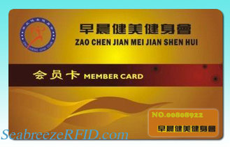 China I CODE 2 chip cards, I CODE SLI/SL2 ICS20 chip cards, ISO/IEC 15693 protocol cards supplier