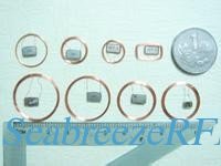 Low frequency electronic tag inlay / Low frequency 125KHz special inlay supplier