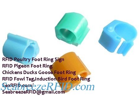 RFID Poultry Foot Ring Sign, RFID Pigeon Foot Ring, Chickens Ducks Goose Induction Foot Ring,  Induction Fowl Foot Ring supplier